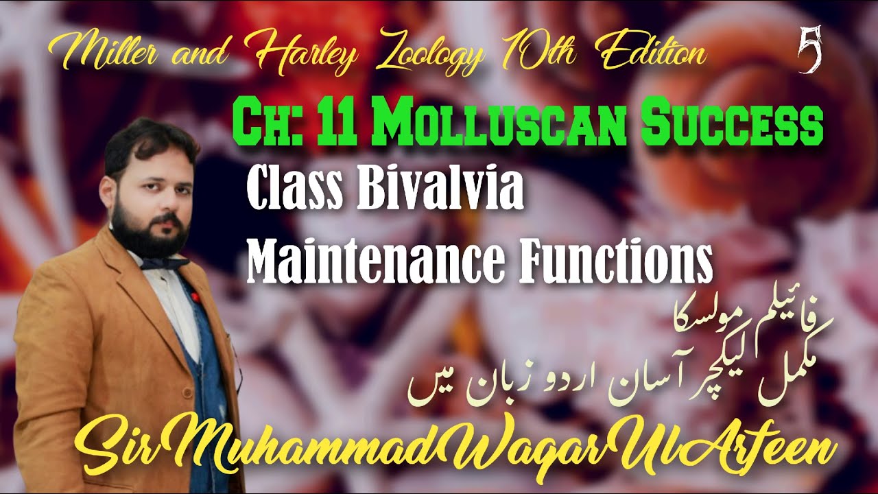 Phylum Mollusca | Class Bivalvia | Anatomy, Gas Exchange, Feeding ...