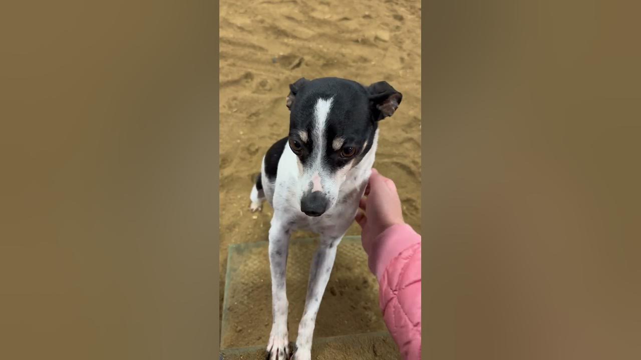 CHOTIC BARM VLOG | Addie.eq1 | - YouTube