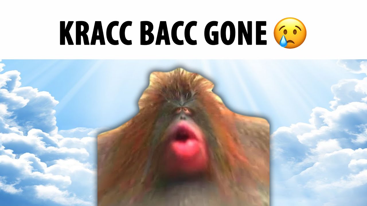 Kracc Bacc Channel Gone 😢 - YouTube