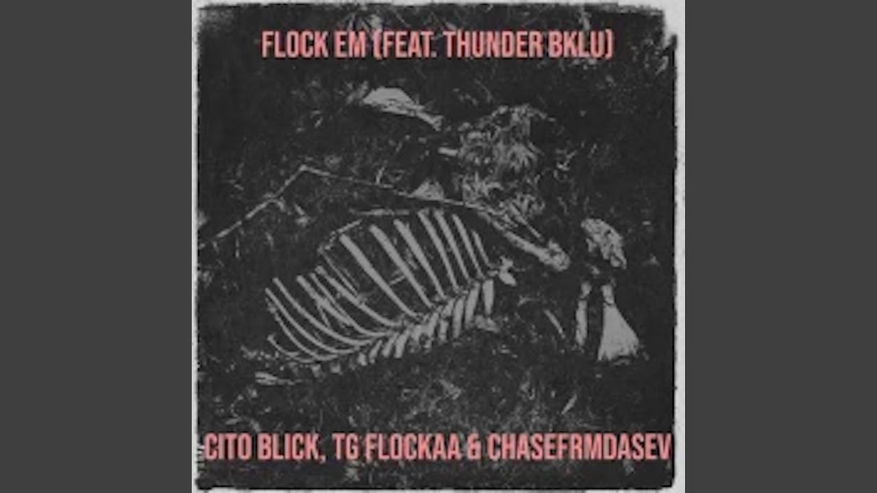 Flock Em - YouTube