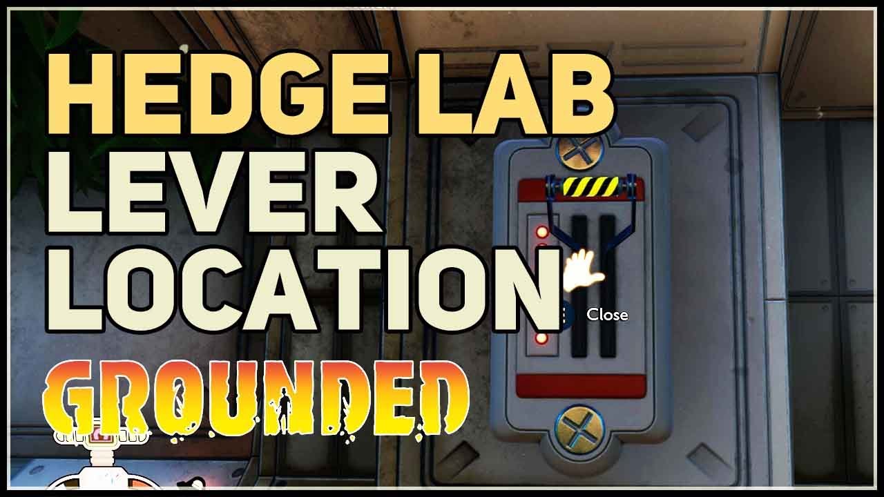 Hedge Lab Lever Location Grounded - YouTube