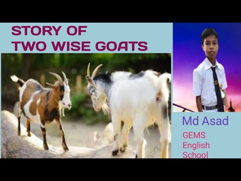Two Wise Goat's English story#english #childrenstories - YouTube