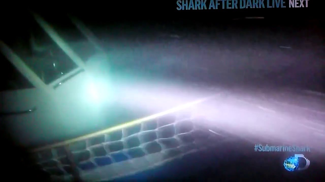 Submarine Shark attack caught on Video - YouTube