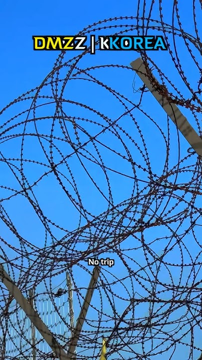 DMZ | Inside the 38th Parallel’s Demilitarized Zone 👀⛓️ #dmz #korean #korea #northkorea # ...