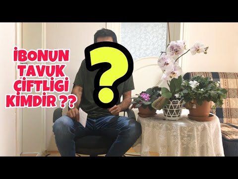 İbonun Tavuk Çiftligi Kimdir ? KAMERA KARŞISINDAYIM ! #tavuk#kümes#yumurta#civciv