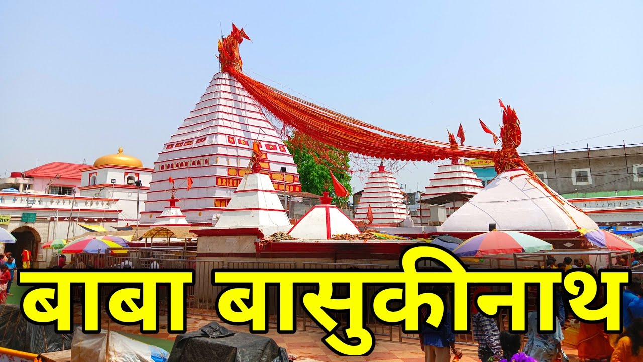 #video || बाबा बासुकीनाथ धाम का दृश्य देखें #video || Baba basukinath ...