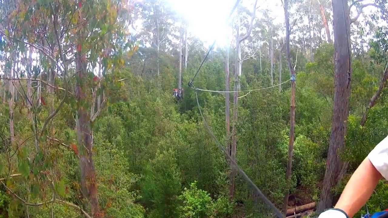 Hollybank Treetop Adventure Review Video - YouTube