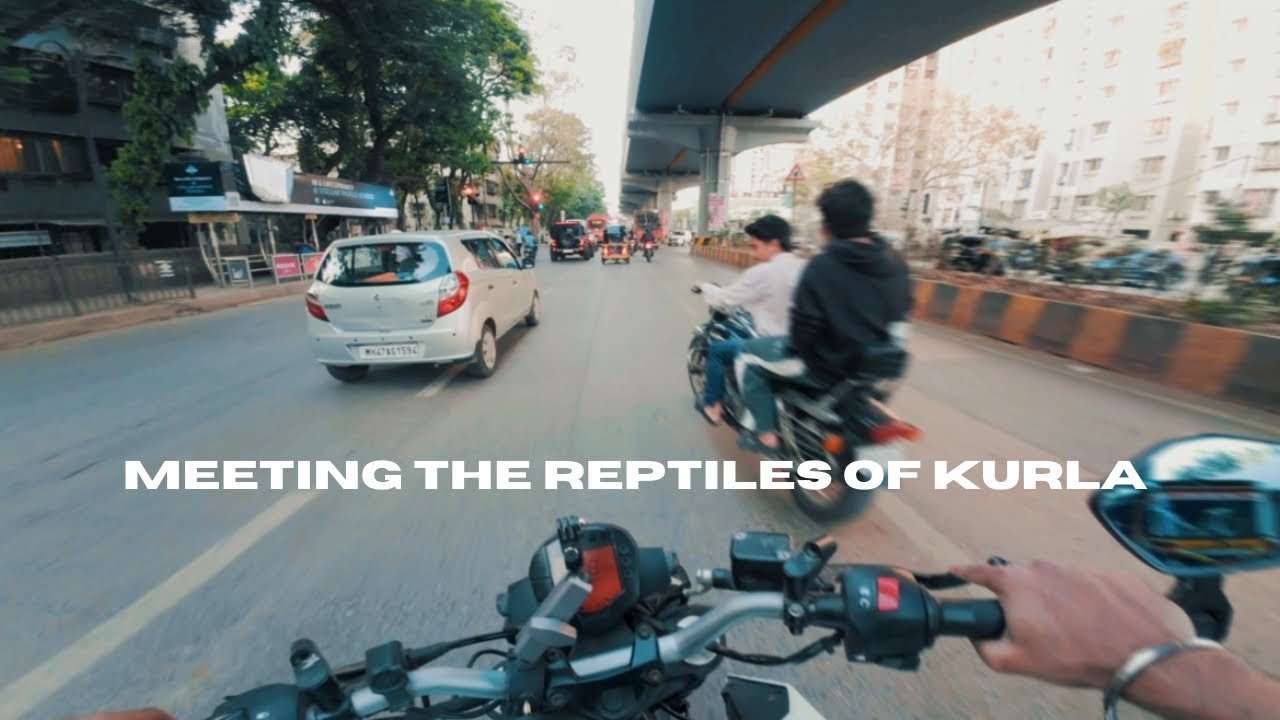 Meeting the reptiles of Kurla on road | Vlog 3 | cinematic editing ...