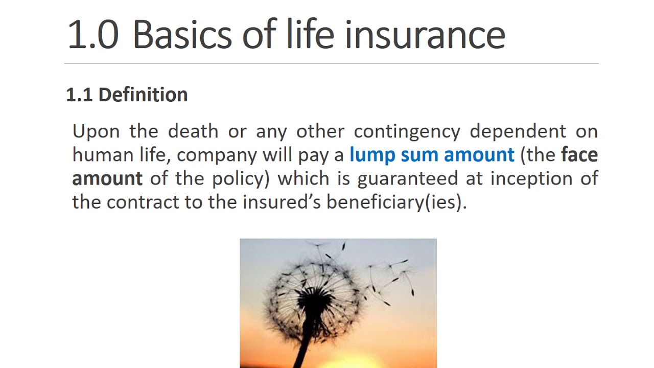 CHAPTER 5 Life Insurance (part 1) - YouTube