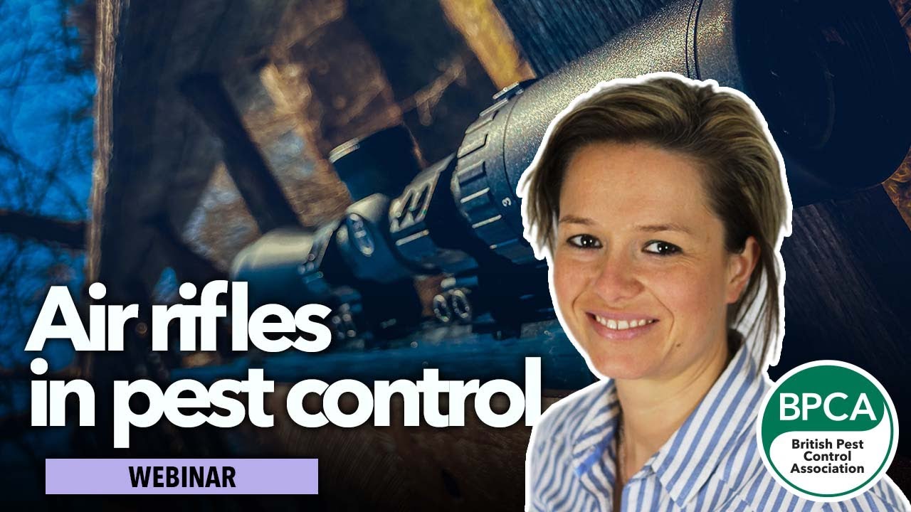 Safe and legal use of air rifles in pest control - YouTube