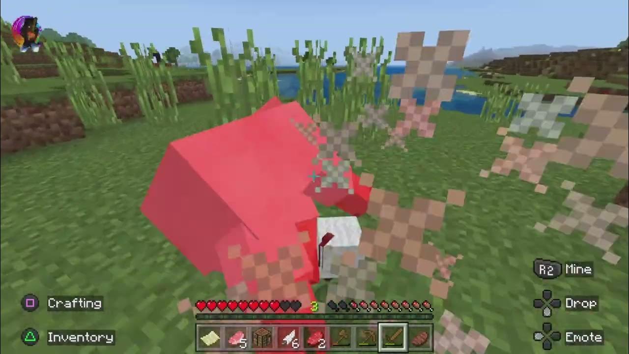 Minecraft Bedrock - YouTube