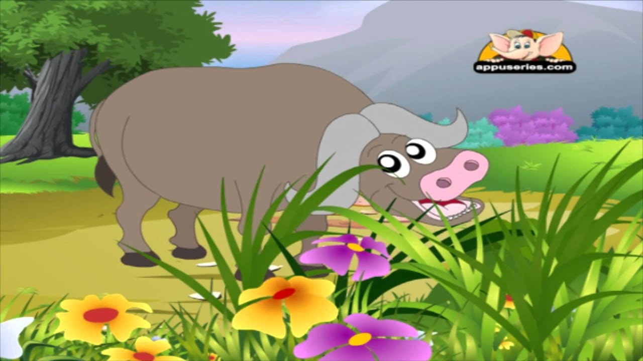 Animal Sounds In Kannada Buffalo YouTube animal-sounds-in-kannada-buffalo-youtube
