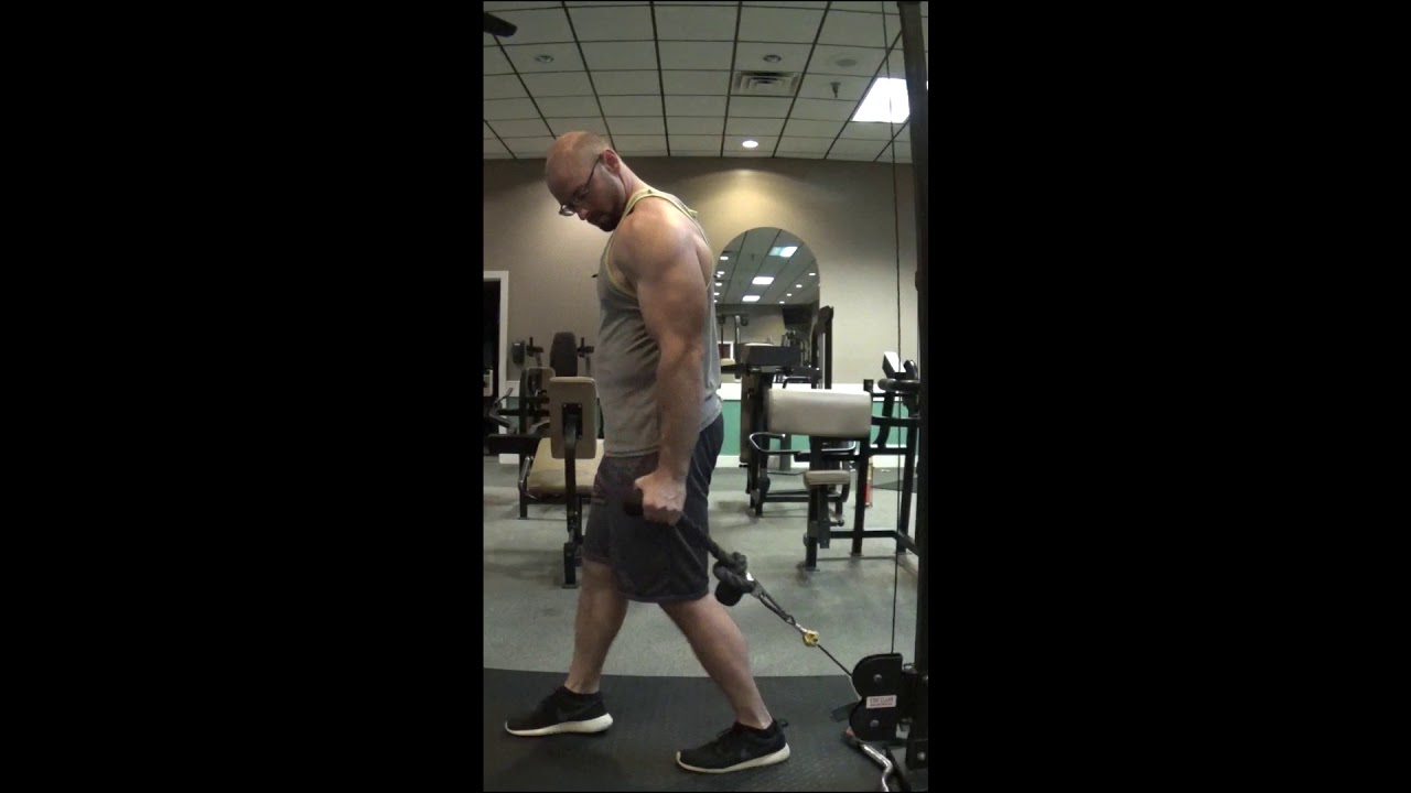 Biceps-Single Arm Hammer Curls on Cable Machine with Rope - YouTube
