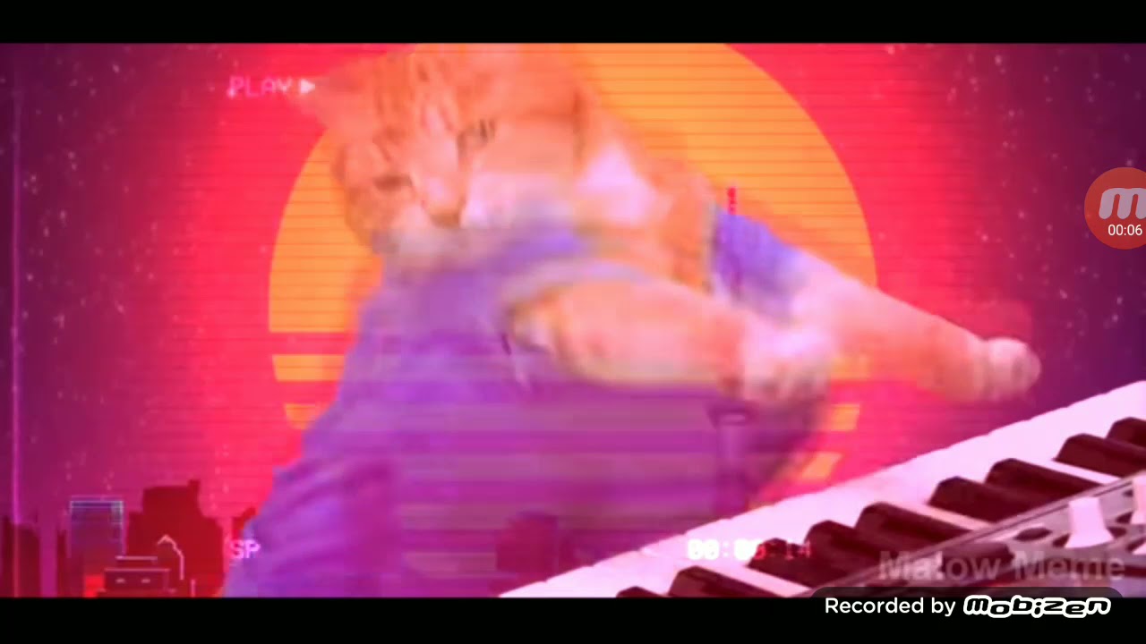 The Weekend - Blinding Lights Cat Cover Credits-Malow Meme - YouTube
