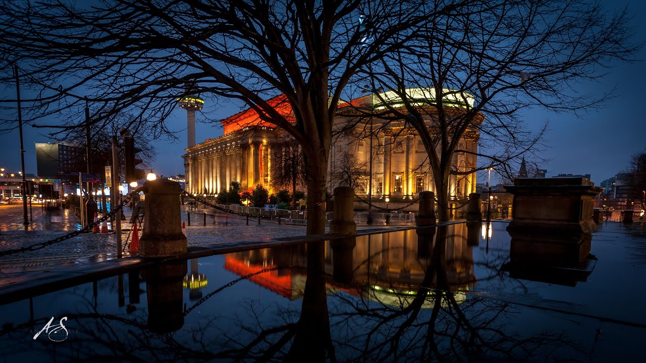 Liverpool Poppies Timelapse "Wave and Weeping Window" - YouTube