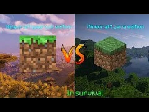 Minecraft bedrock edition vs minecraft java edition in survival - YouTube
