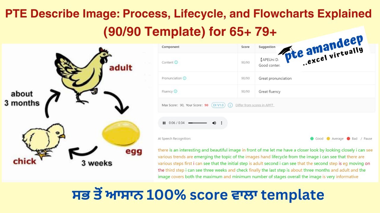 PTE Describe Image: Process, Lifecycle, and Flowcharts Explained (90/90 ...