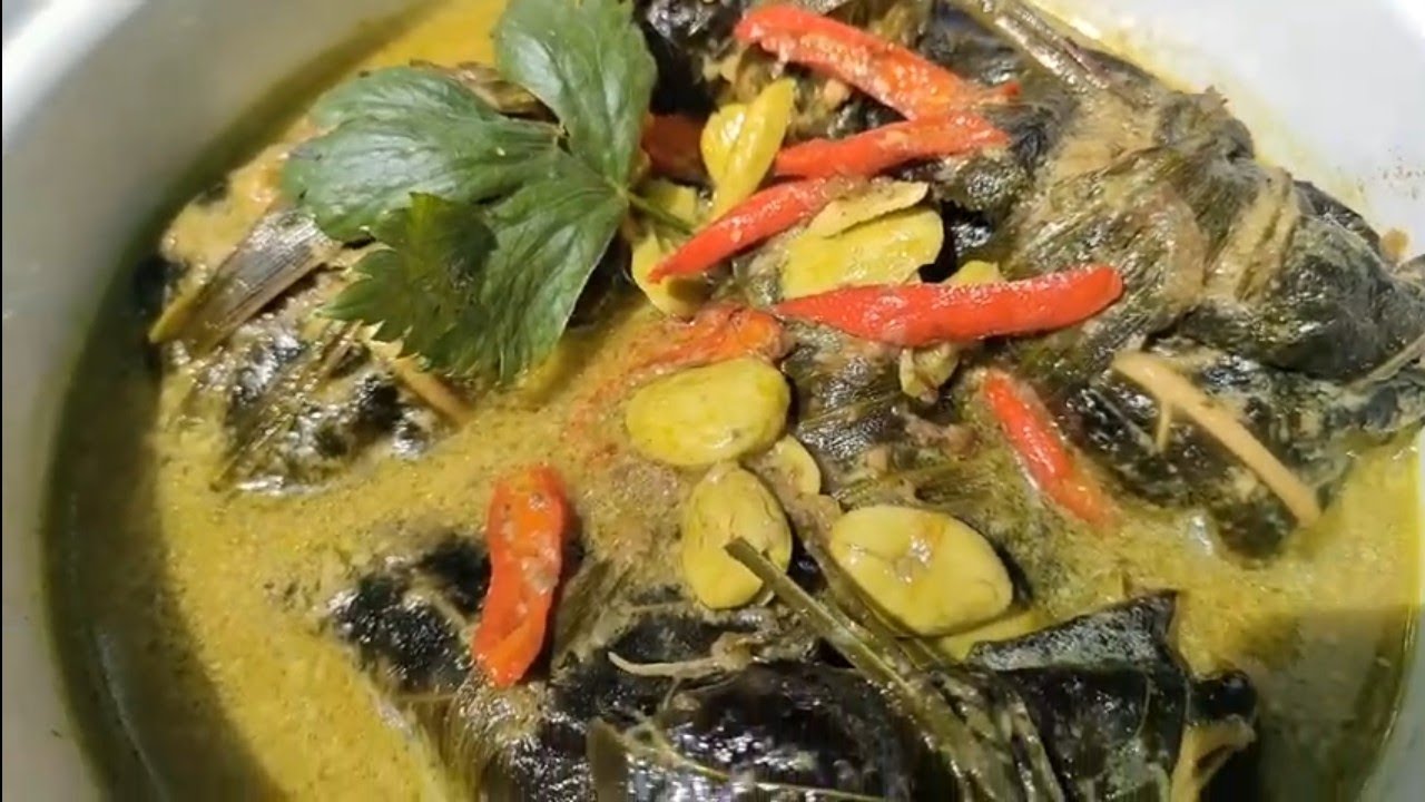 BUNTIL DARI DAUN PACE ATAU MENGKUDU SEHAT UNTUK TUBUH........YUK KITA ...