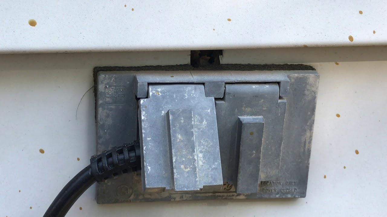 Outlet Filled with Yellow Jackets in Aberdeen Township, NJ - YouTube