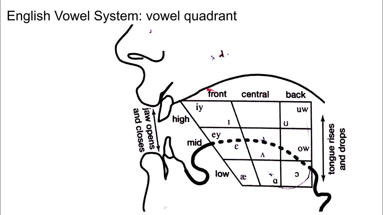 English Vowel System - YouTube