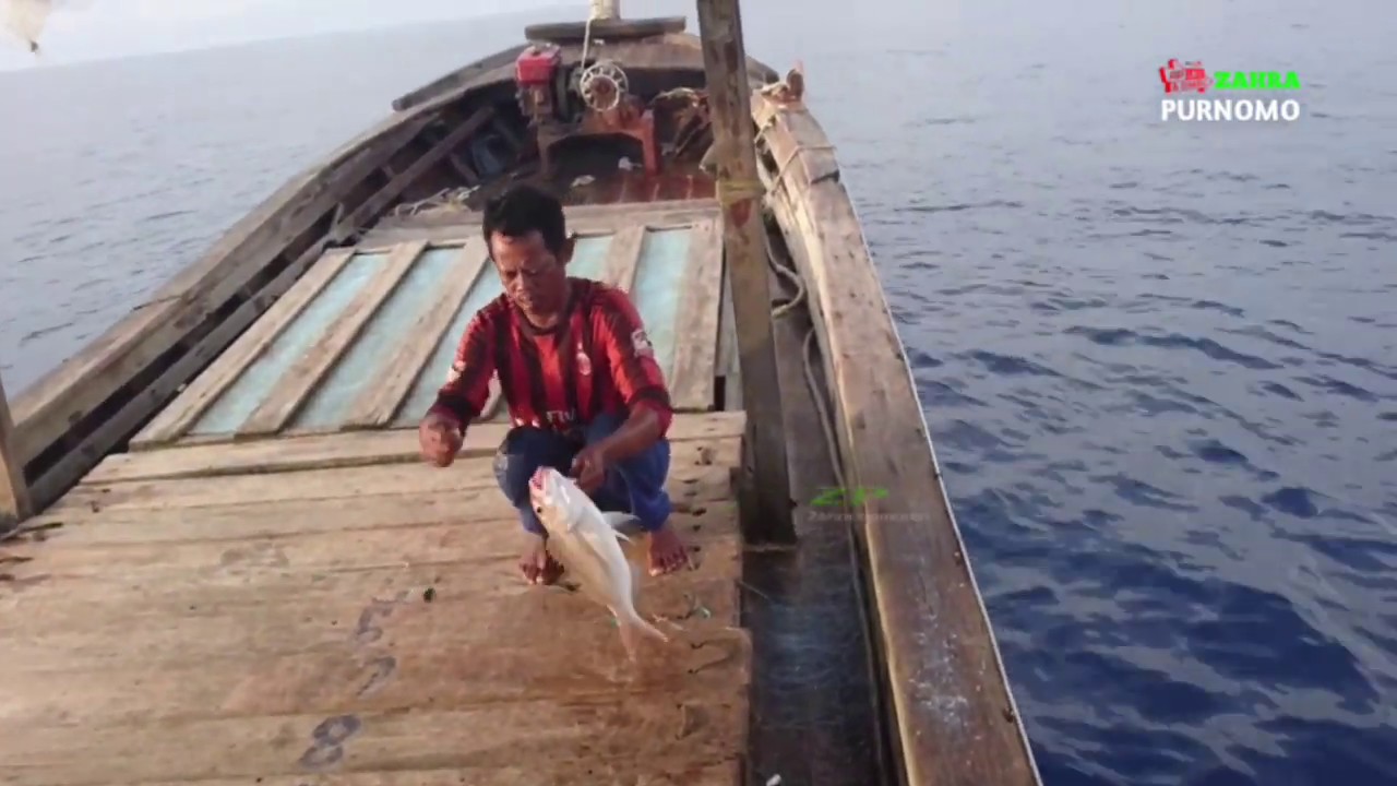 Mancing strike ikan kakap merah,mancing anggoli,mancing dasaran paling ...