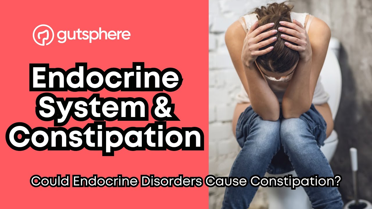 The Endocrine System’s Impact on Constipation: Key Facts - YouTube