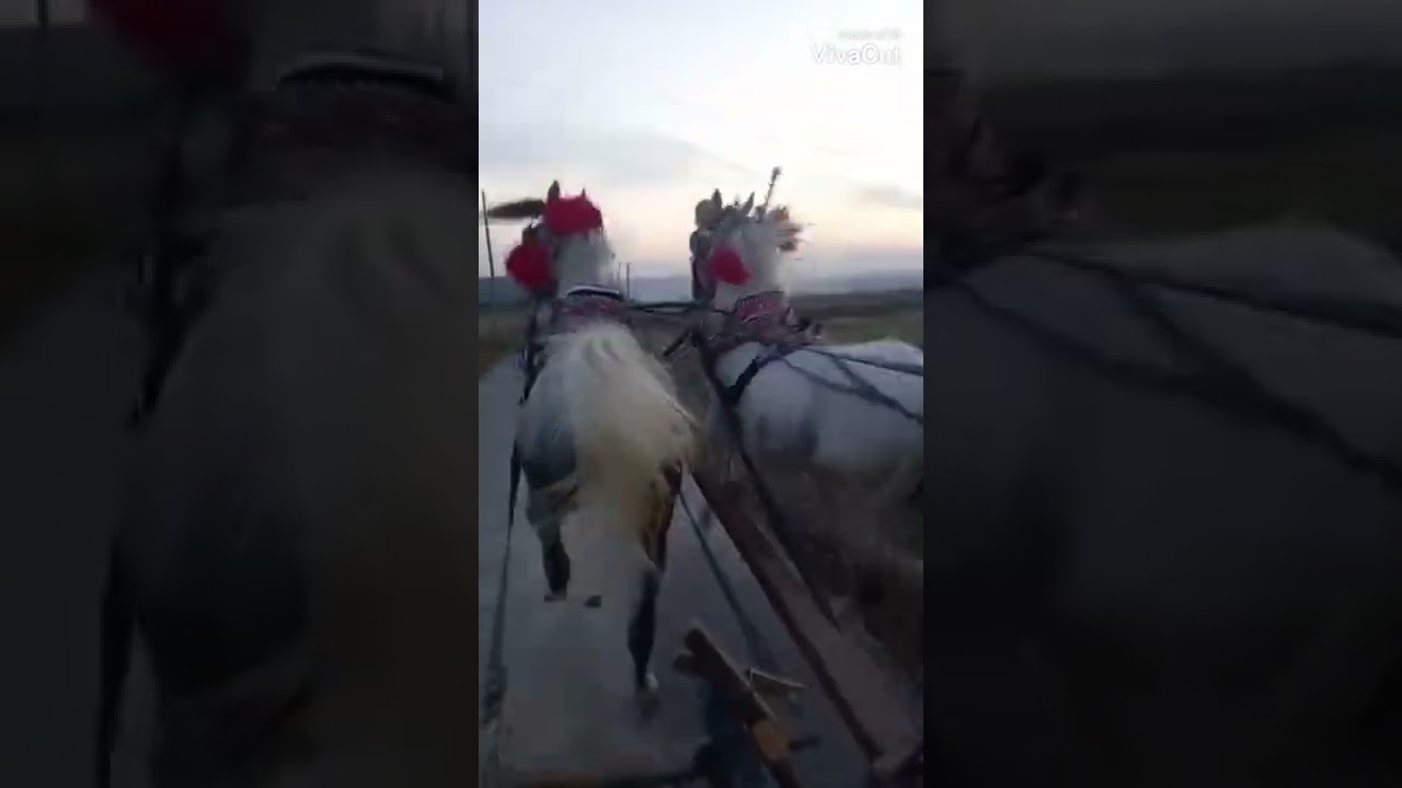 kuajt e visarit - YouTube