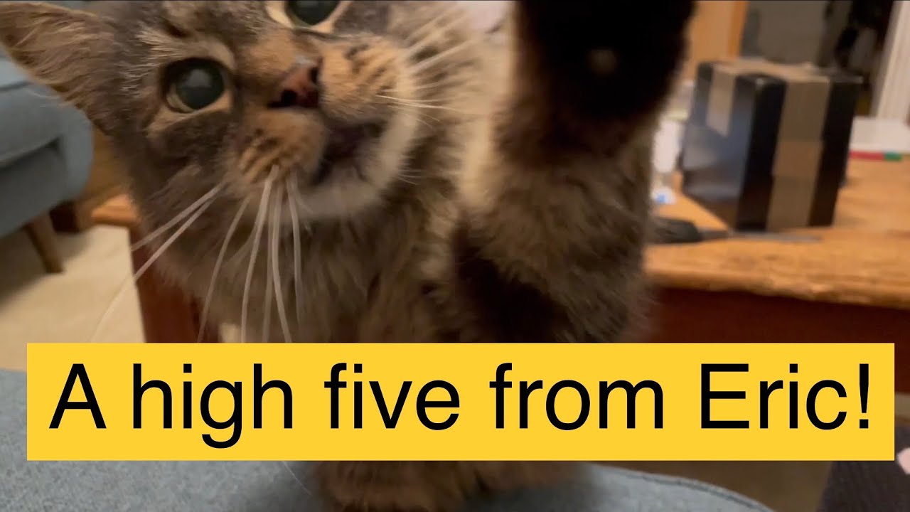 Eric says thanks for the 5k - YouTube