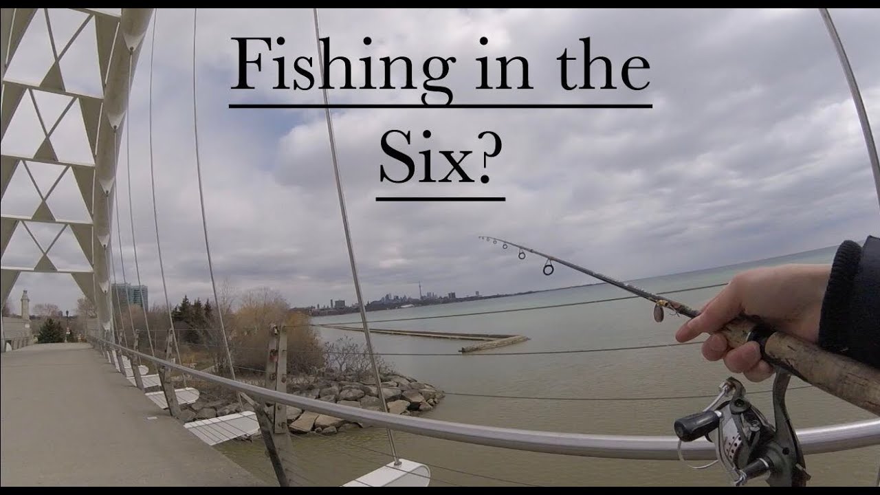 Exploring Toronto For Fishing Spots (What Did We Find) - YouTube