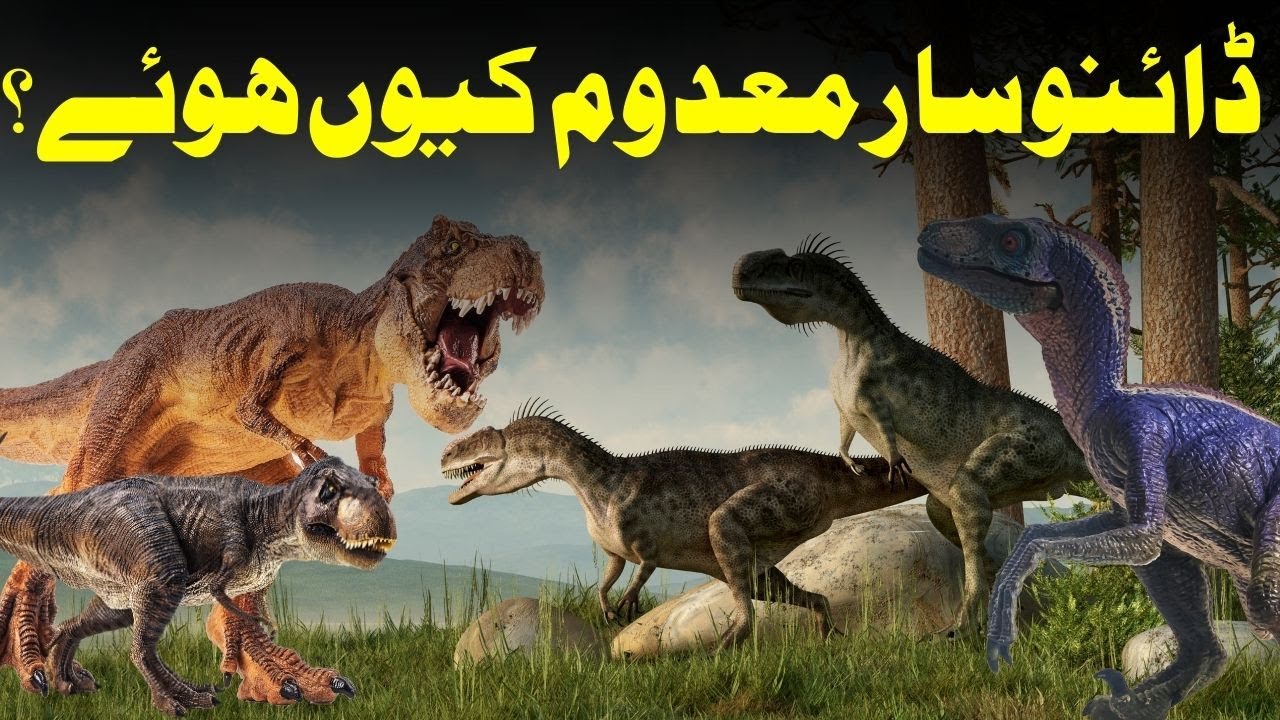 WHY DID DINOSAURS BECOME EXTINCT? - YouTube