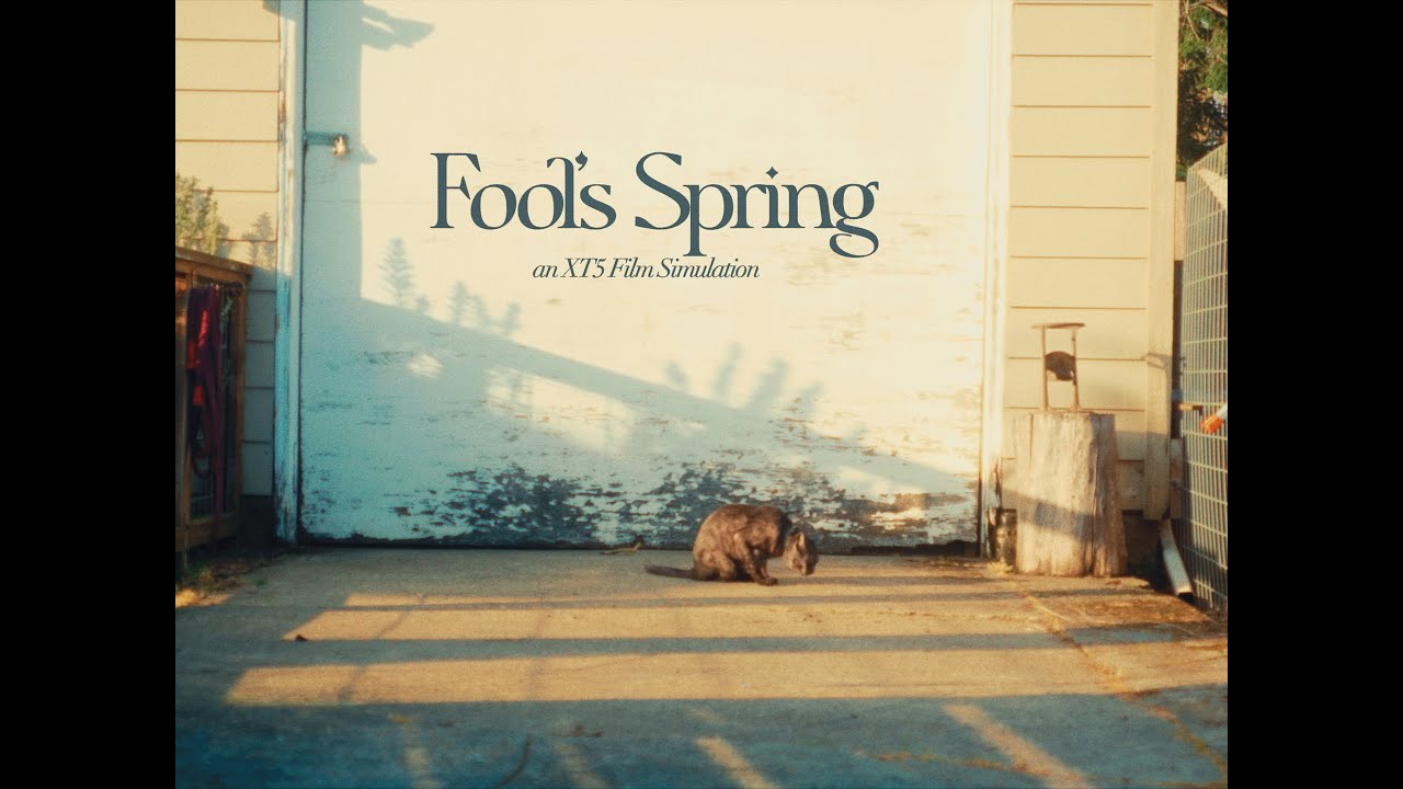 Fool's Spring | Fuji XT5 Film Simulation - YouTube