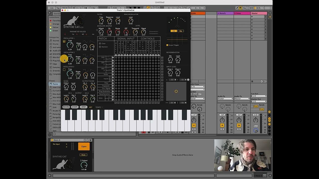 SynthieCat by Max for Cats Tutorial - YouTube