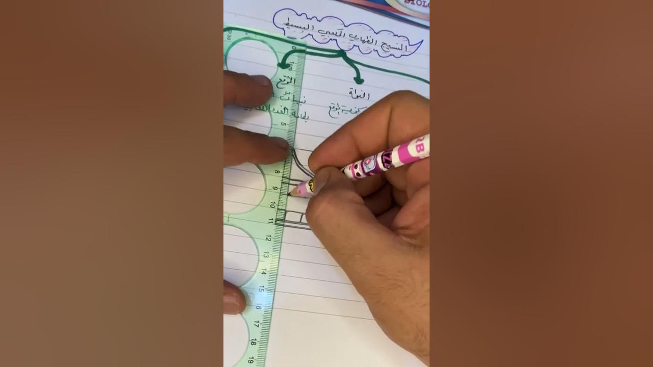 رسم النسيج الظهاري المكعبي البسيط Youtube