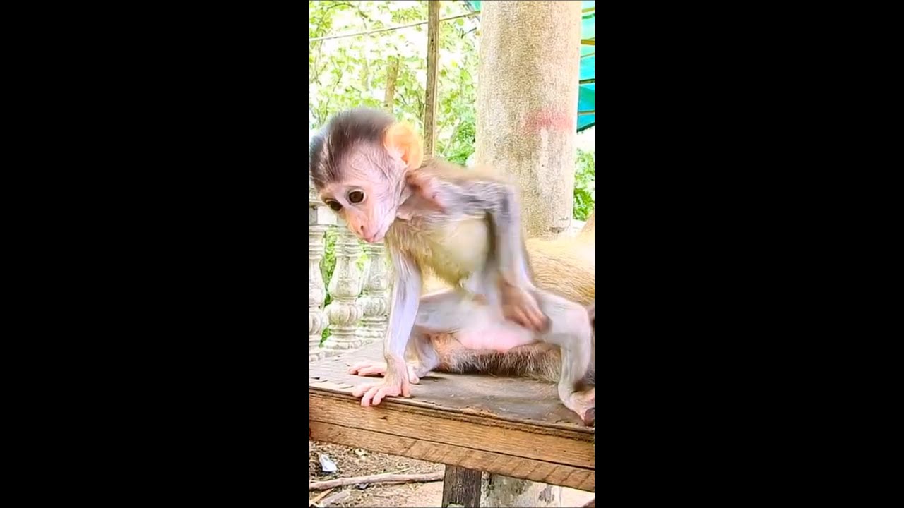 So funniest newborn baby JESSICA - YouTube