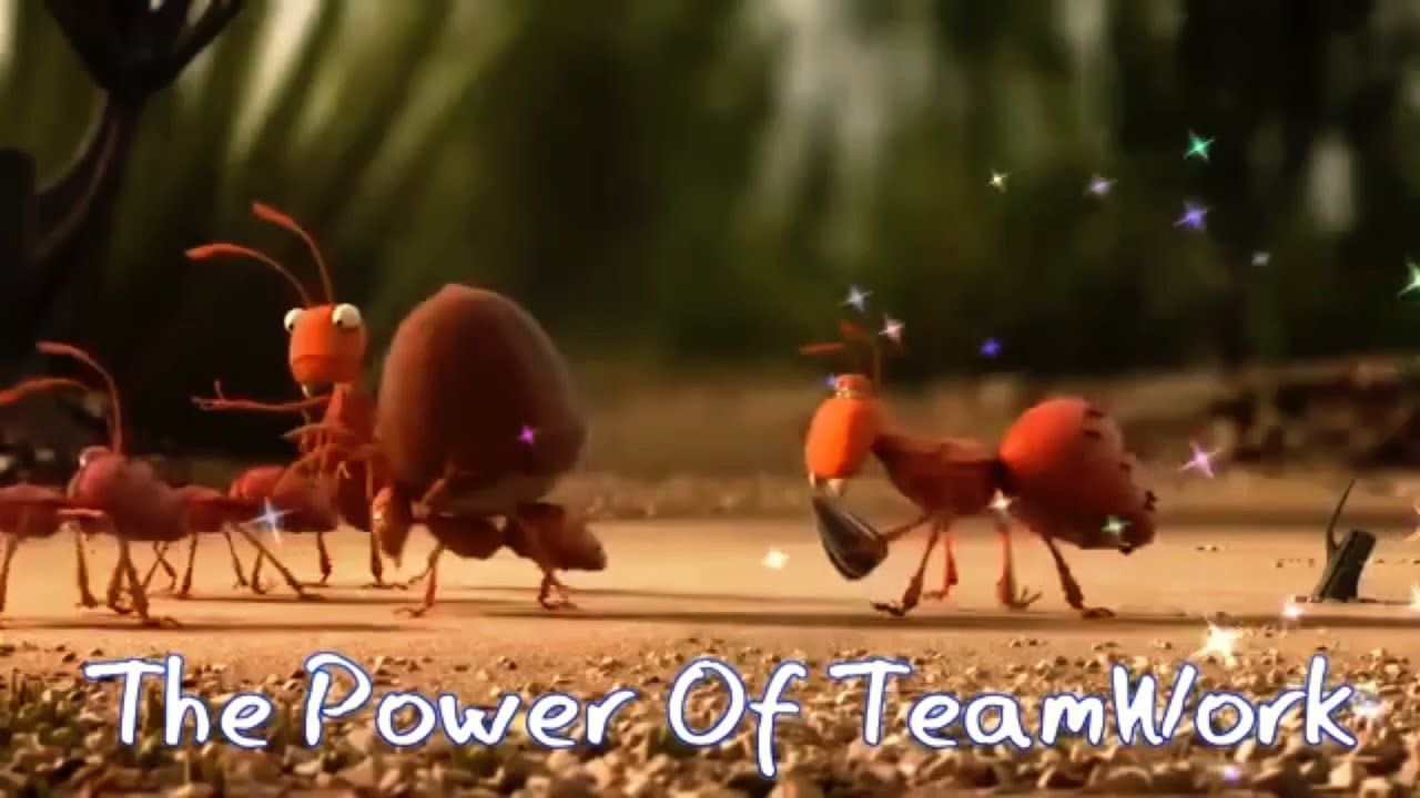 Film Pendek Animasi Lucu "Kerja Sama" Funny Animated Short film "Team ...