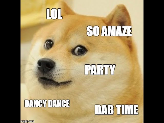 Party Time Dog Meme