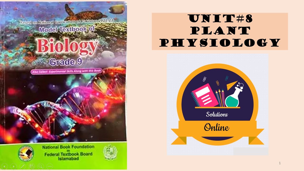 Class 9 Biology Chapter 8 | Plant Physiology Long Questions | FBISE New ...