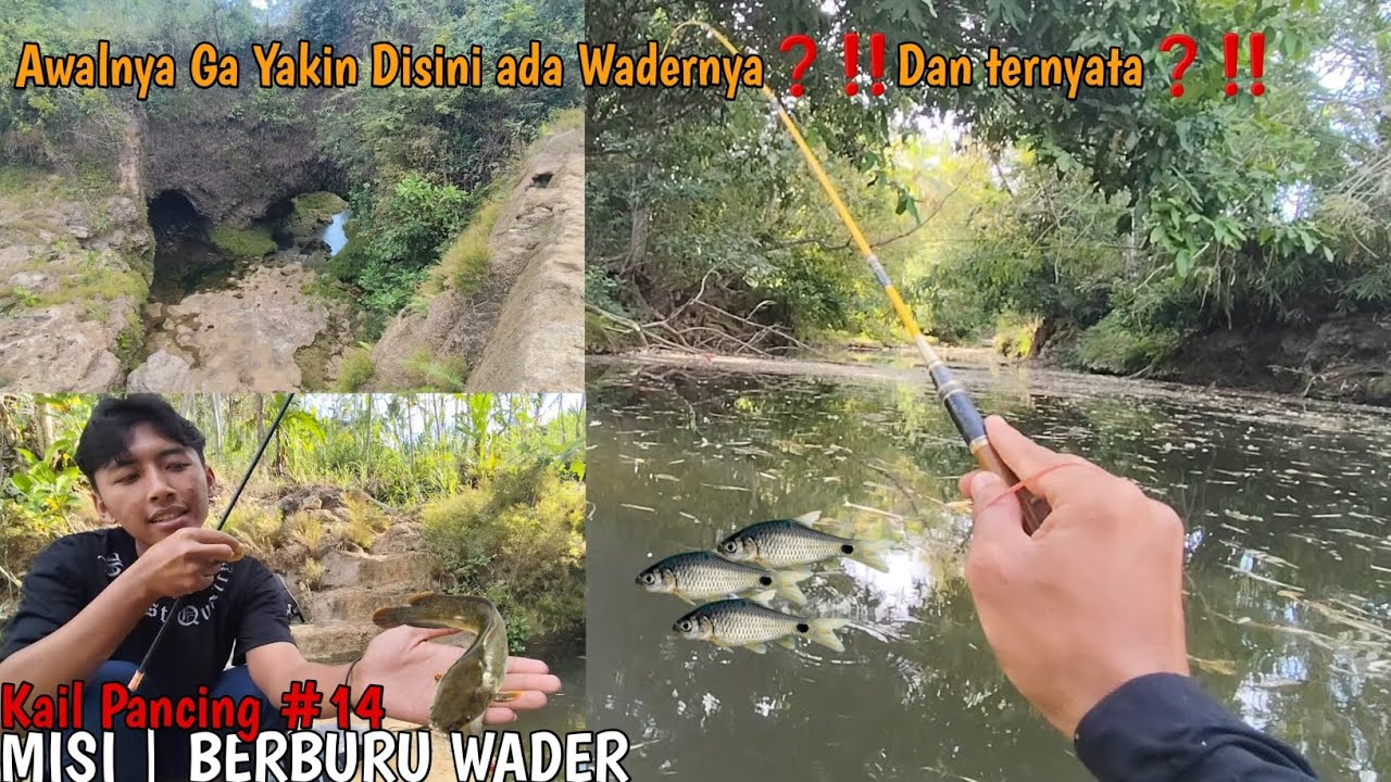 "Teknik Jitu Mancing Wader di Goa misterius: Hasil Melimpah!” - YouTube