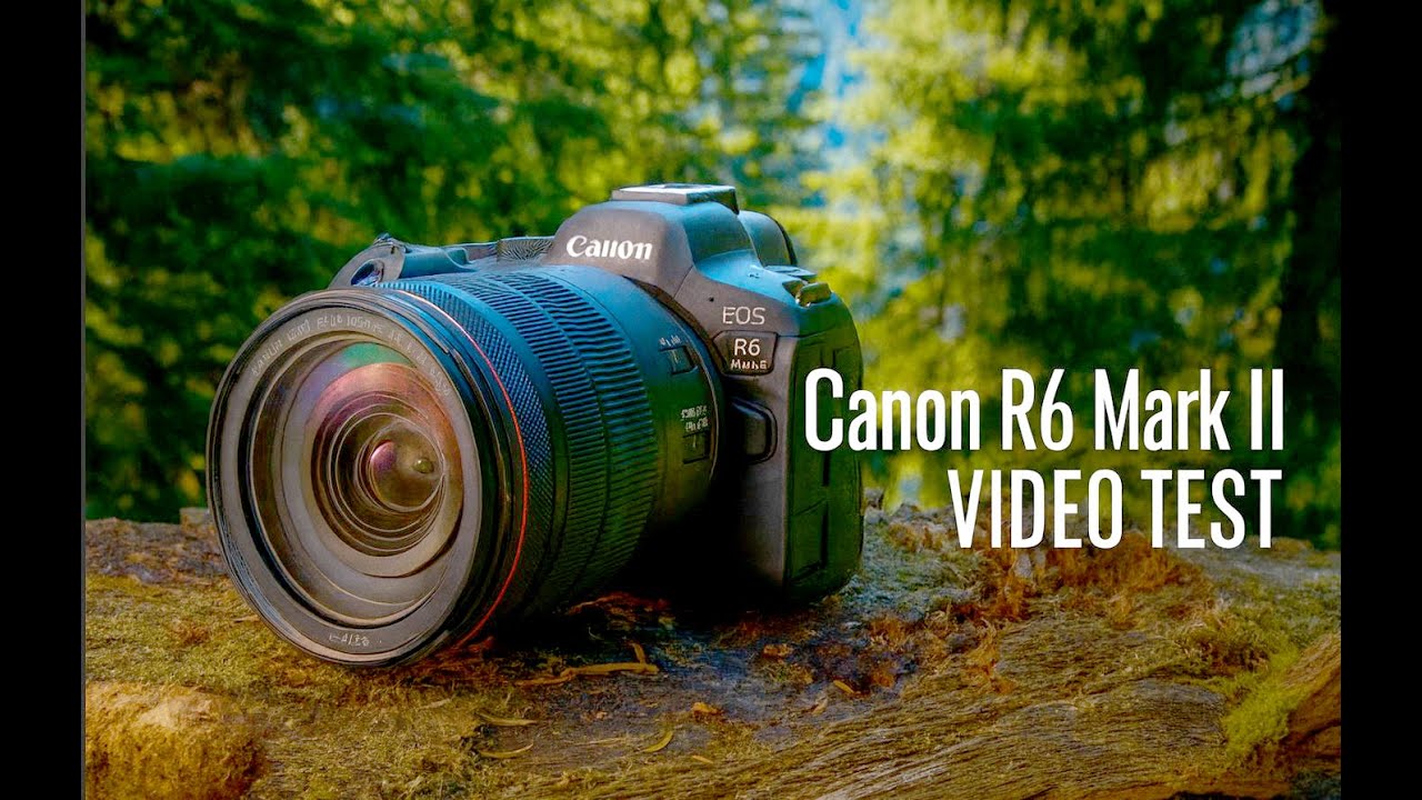 Canon R6 Mark II Video Test. Day. Evening. Night 👍