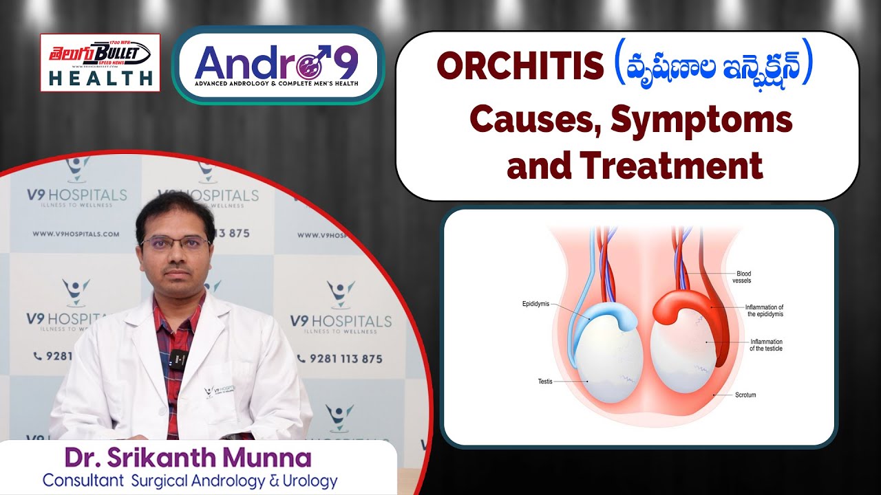 Orchitis | Testis Infections Causes and Symptoms | Testicular Pain ...