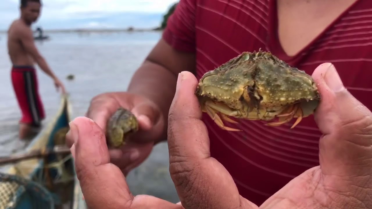 Fishtrap “Bunuan” | Seaside in Philippines - YouTube