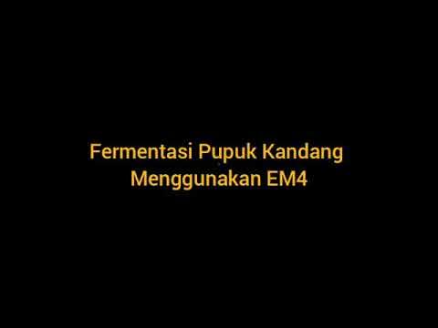 Cara fermentasi kotoran ayam dengan# Em4 - YouTube