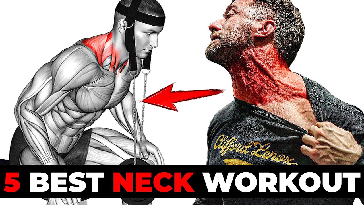 How To Build Your Neck Fast (5 Effective Exercises) - YouTube