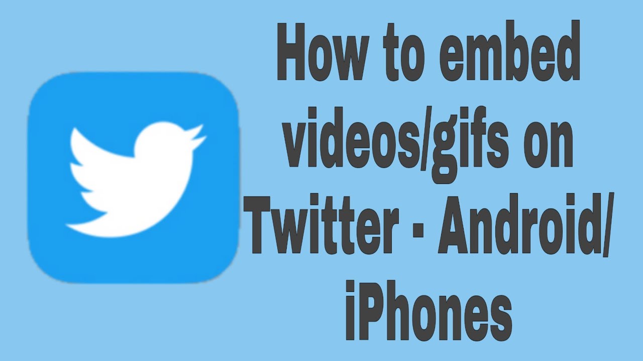 How to embed video/gifs on Twitter web app/PC _ TUTORIAL - YouTube