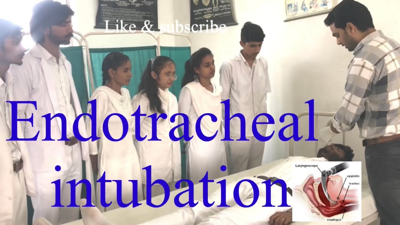 Endotracheal Tube | Intubation Procedure Ventilatior How to Insert ...