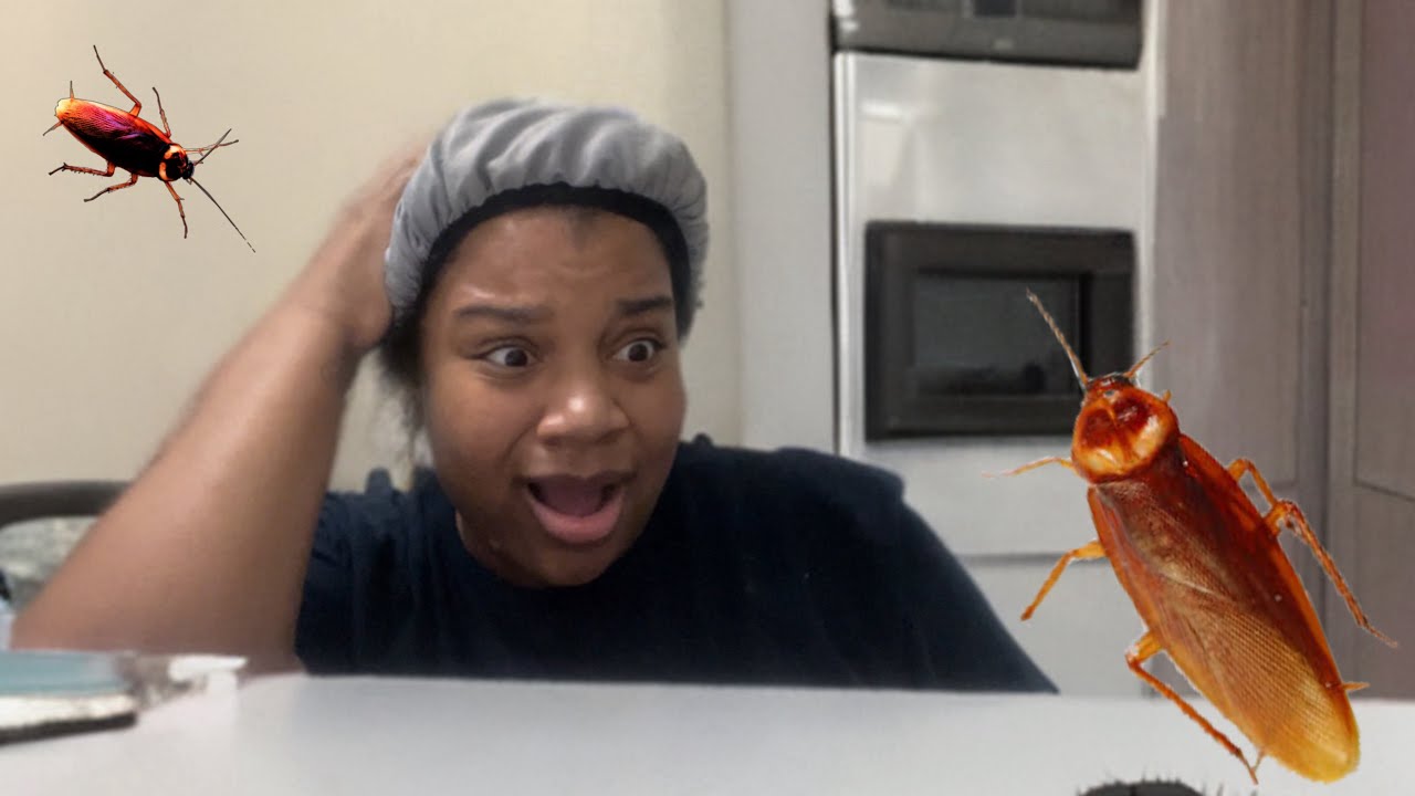 STORYTIME: OUR HOUSE WAS INFESTED WITH ROACHES!!! - YouTube