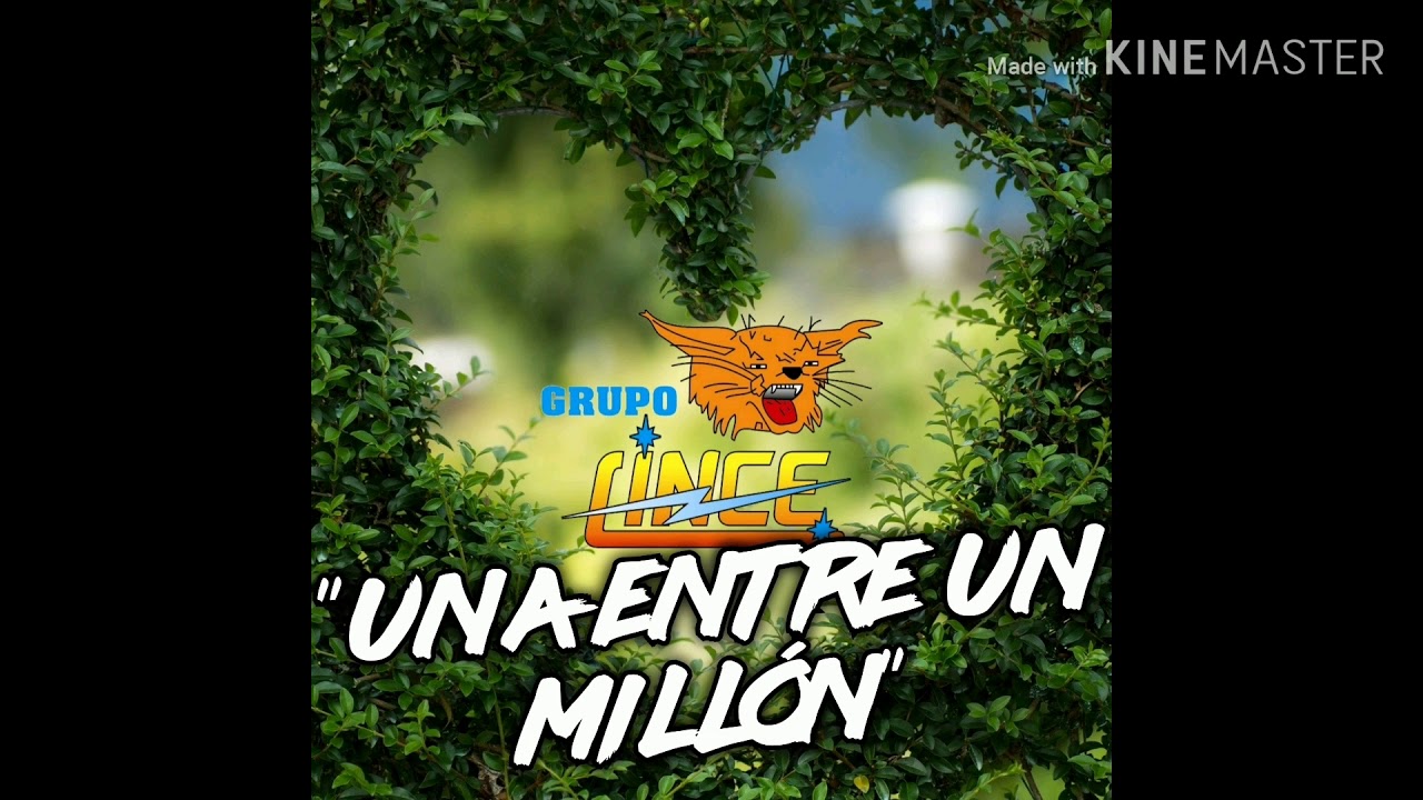 Grupo Lince_Una entre un millón (Audio Estudio) - YouTube Music