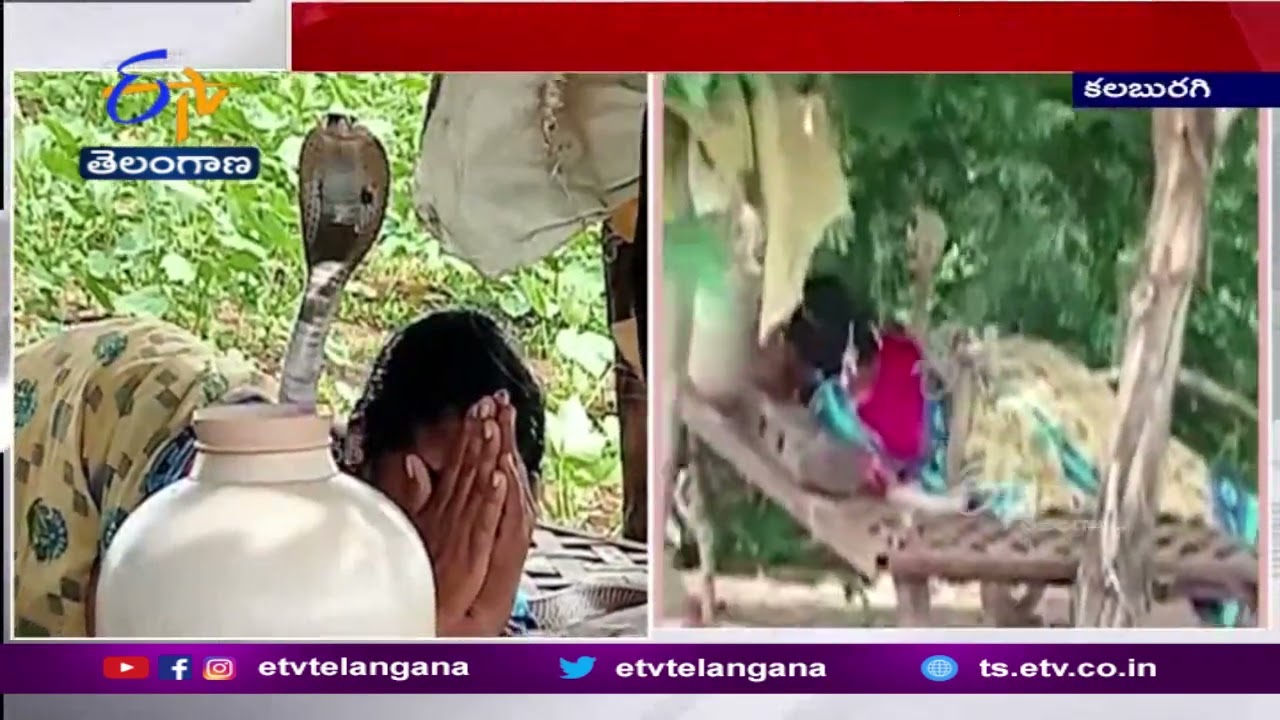 Woman escapes from snake bite in Karnataka | కర్ణాటకలో పాముకాటు నుంచి తప్పించుకున్న మహిళ | - YouTube