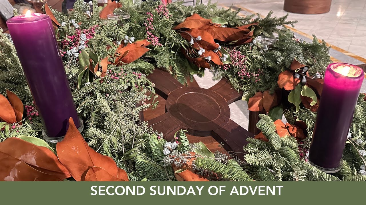 Sunday, December 8, 2024 11:30 AM Mass - YouTube