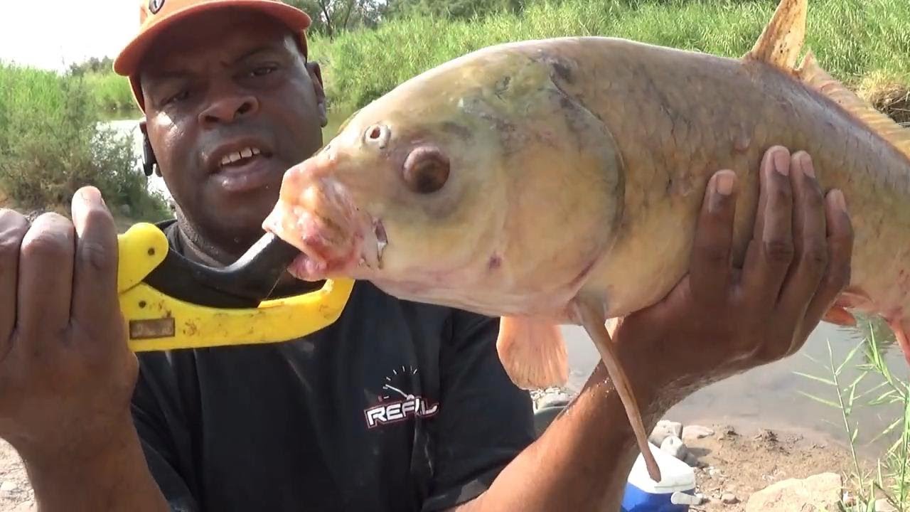 FISHING UPPER SALT RIVER - YouTube